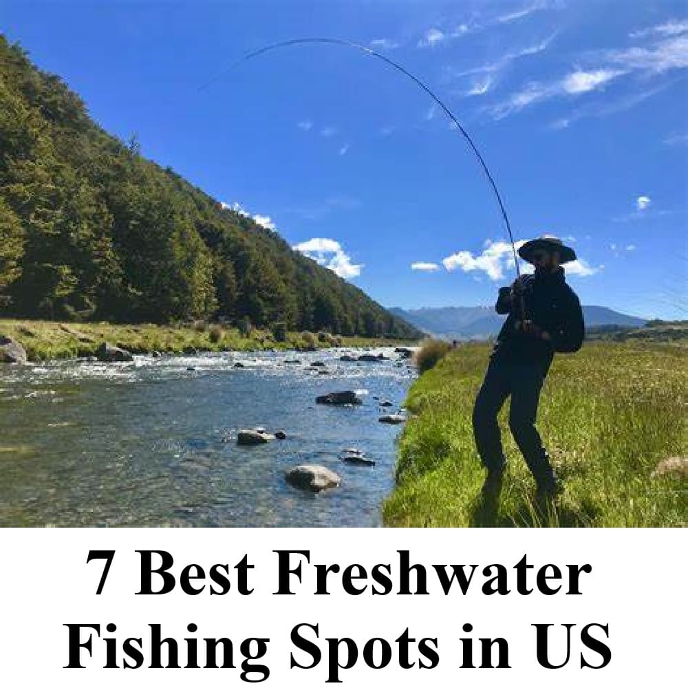 Read More